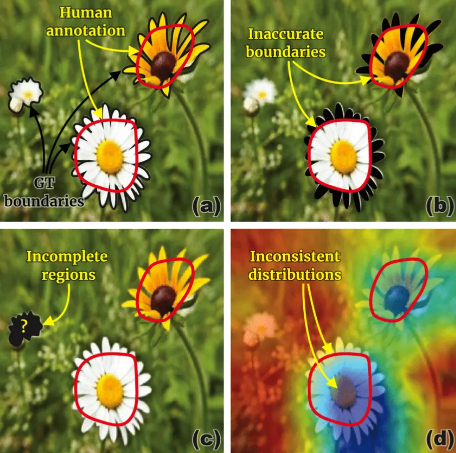 Image Annotation: Challenges & Their Solutions